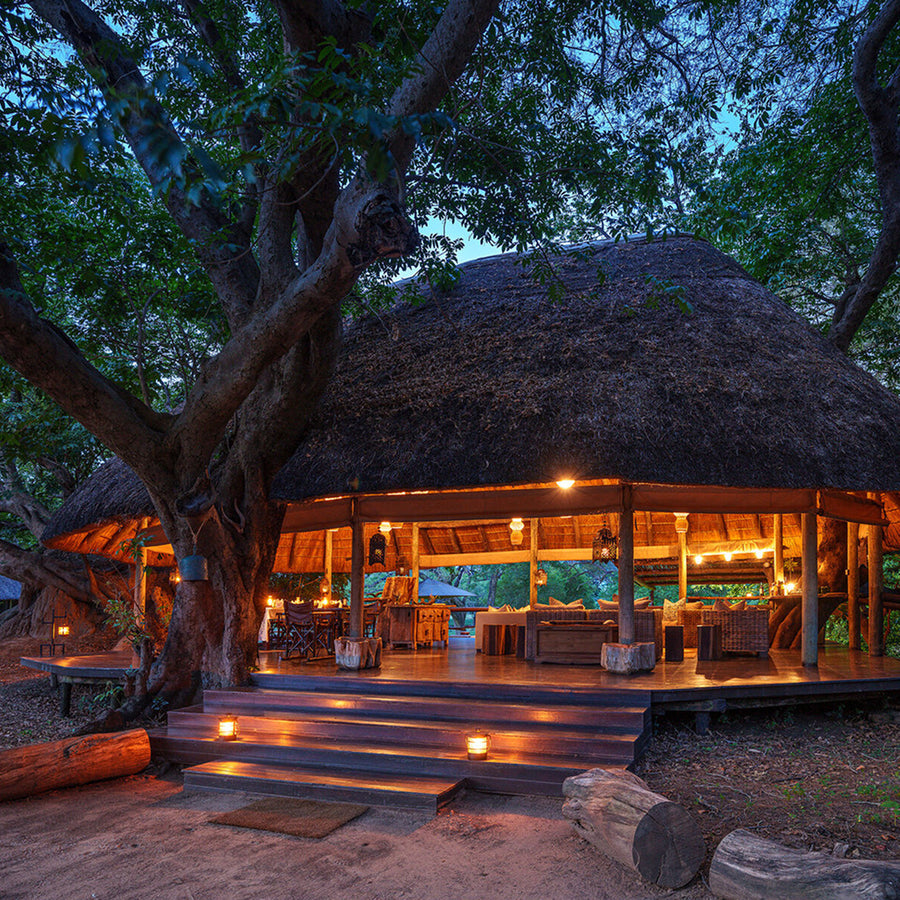 bushcampcompany.com – The Bush Camp Company