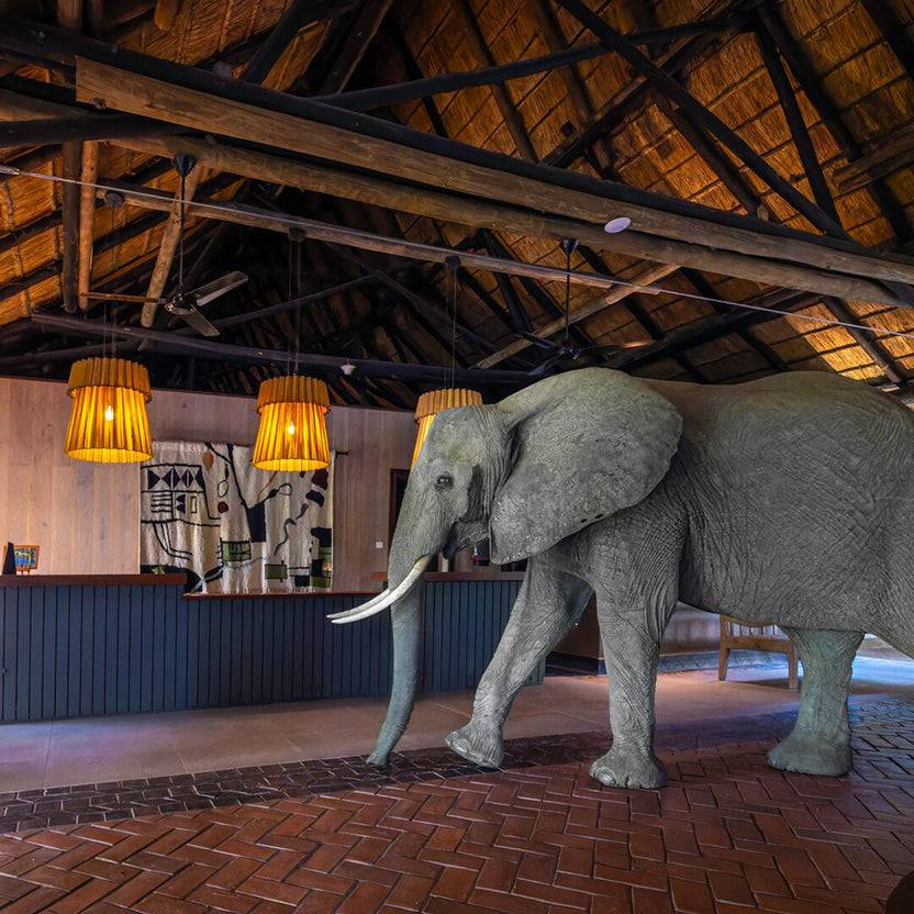 Mfuwe Lodge – The Bush Camp Company