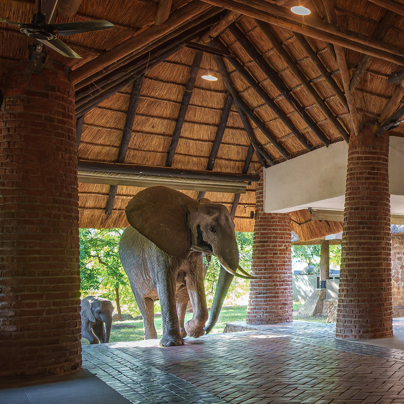 Mfuwe Lodge – The Bush Camp Company