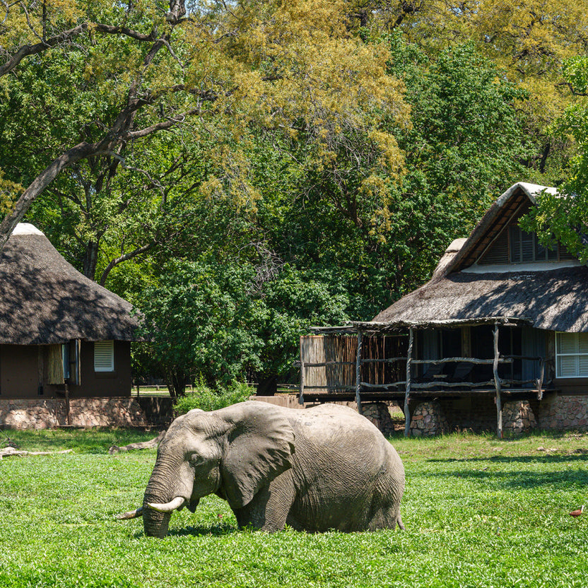 Mfuwe Lodge – The Bush Camp Company